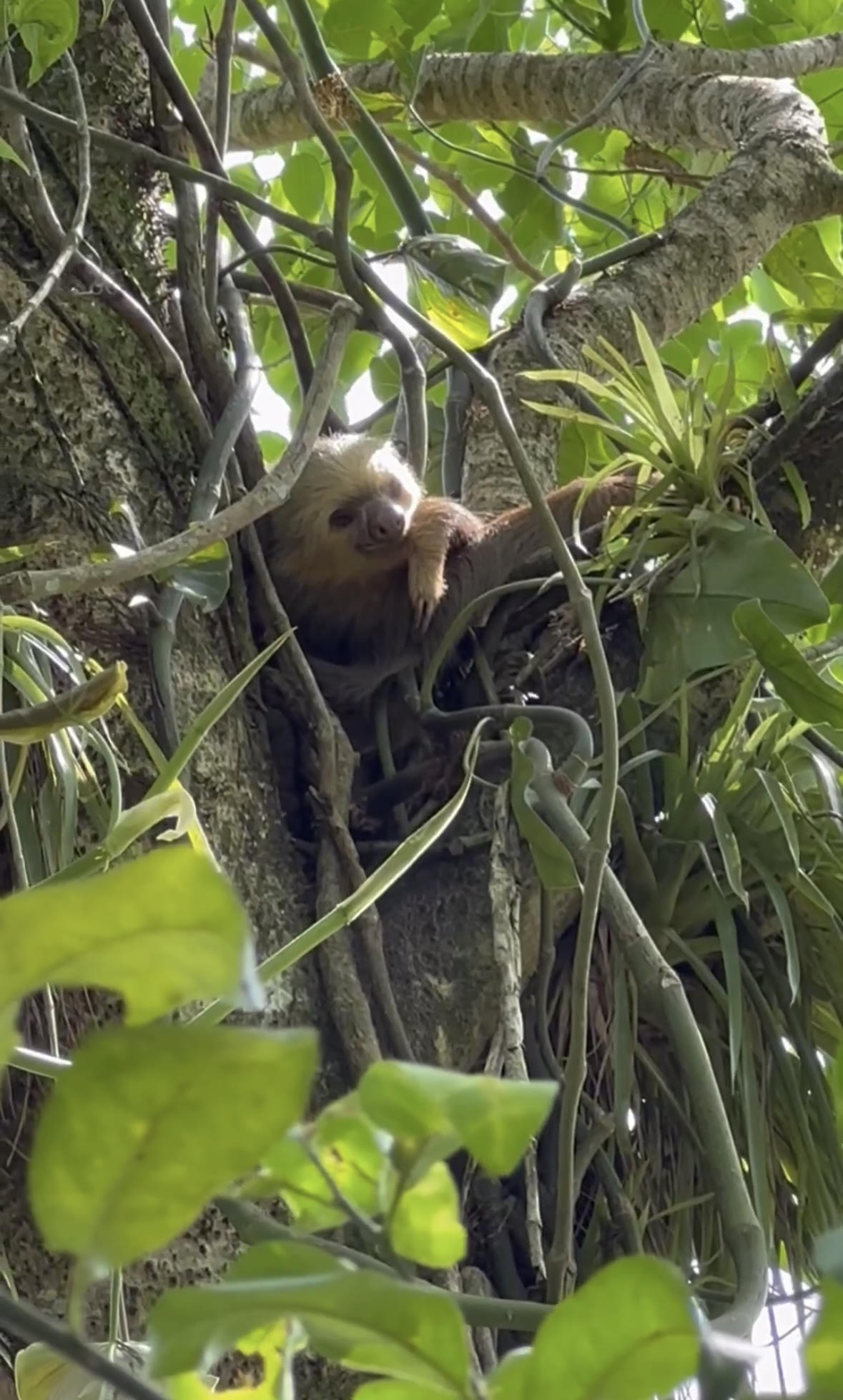 Explorateur Travel | All About Costa Rica